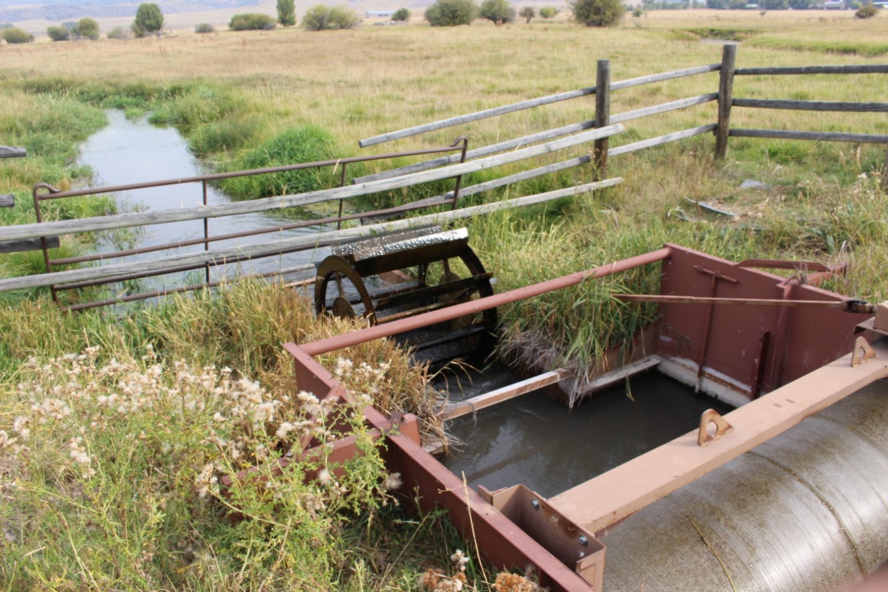 EMBRACE a STREAM Matching Funds Challenge | Snake River Cutthroats